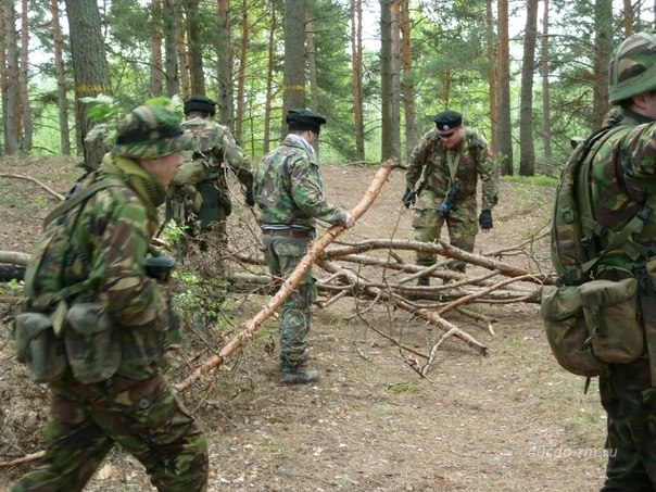 Галерея / 40cdo-rm.ru / страница 46