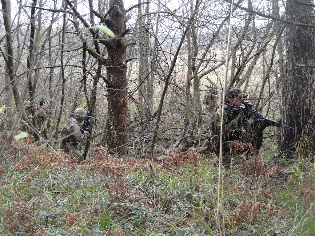 Галерея / 40cdo-rm.ru / страница 33