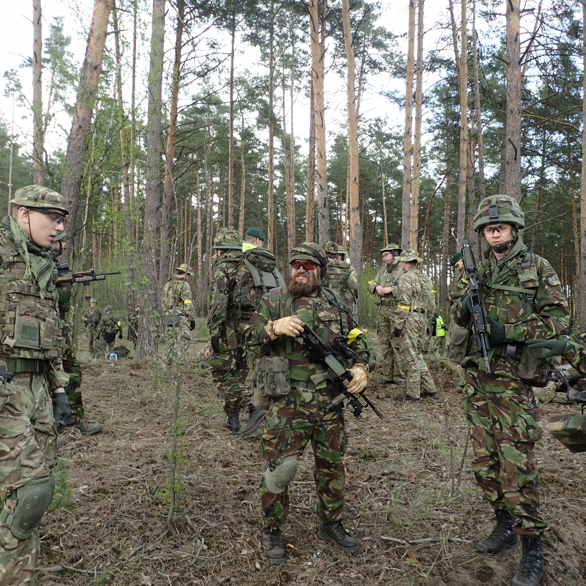 Галерея / 40cdo-rm.ru / страница 3