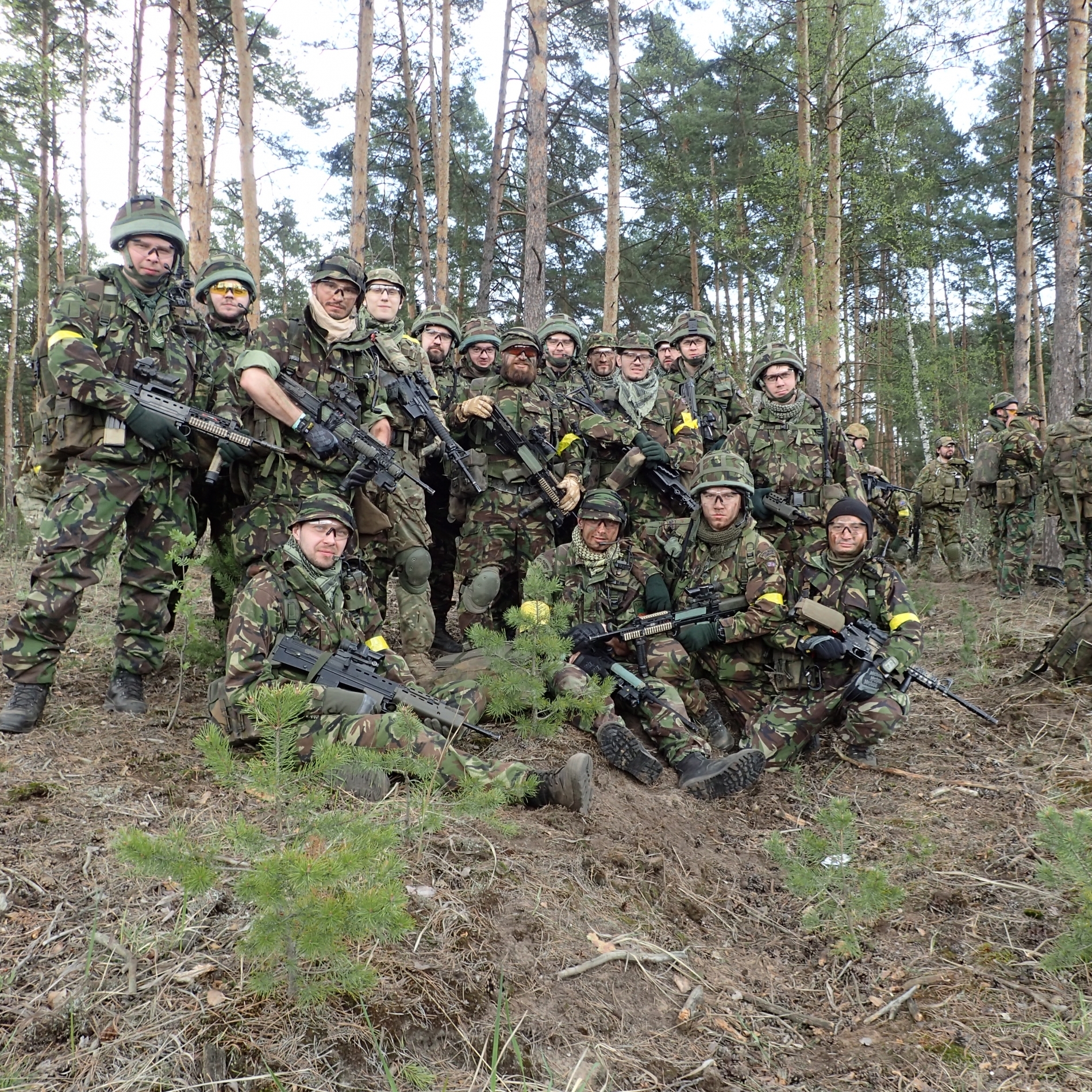 Галерея / 40cdo-rm.ru / страница 2