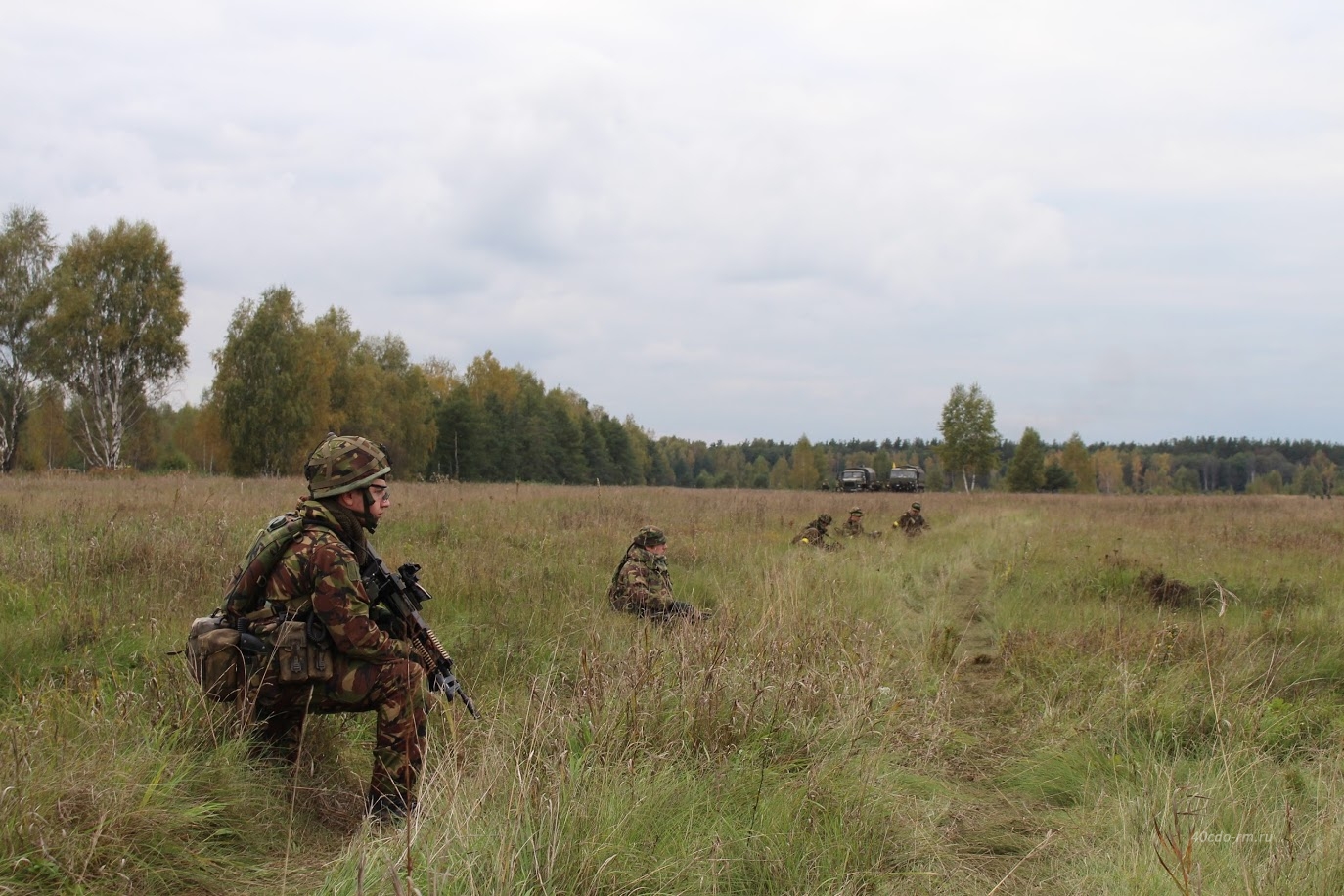 Галерея / 40cdo-rm.ru